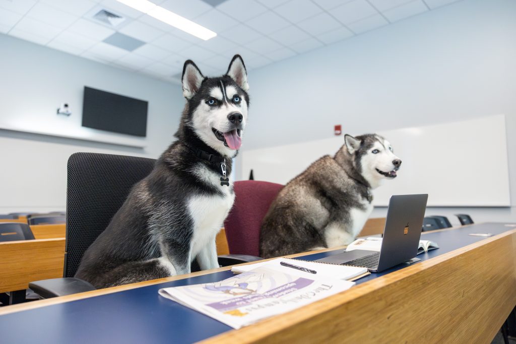 Join the Group! | Ryberg Lab