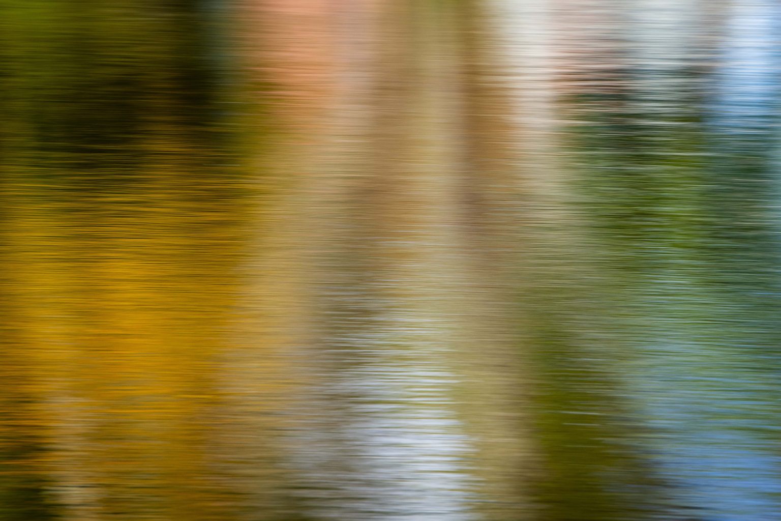 Research | Ryberg Research Group